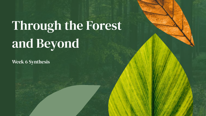 Through the Forest and Beyond - Week 6 Synthesis by Daniel Boyle on Prezi