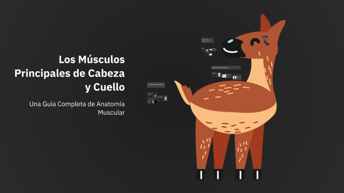 Los Músculos Principales de Cabeza y Cuello by Joshua Hernández on Prezi