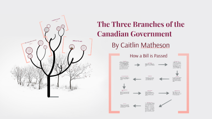 The Three Branches of Canadian Government by Caitlin Matheson on Prezi