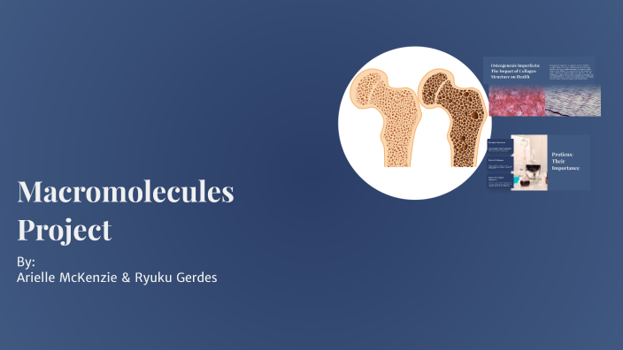 Macromolecules Project by Arielle McKenzie on Prezi