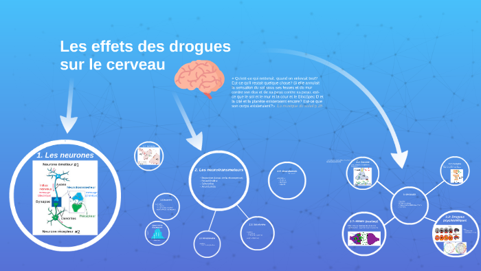 Les effets des drogues sur le cerveau by eric Anquetil on Prezi