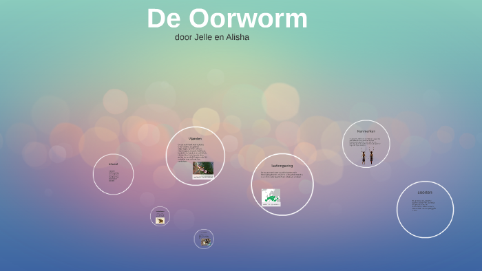 De Oorworm by Miriam . on Prezi
