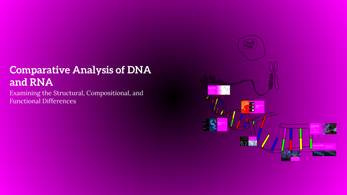 Comparative Analysis of DNA and RNA by Quân Trương Văn Minh on Prezi