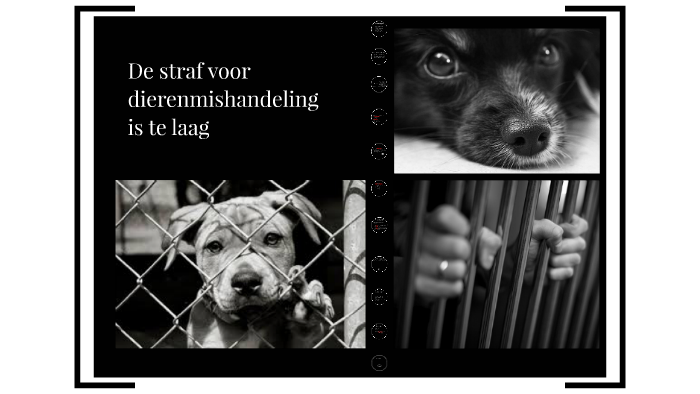 De straf voor dierenmishandeling is te laag by Dian Haverkort on Prezi