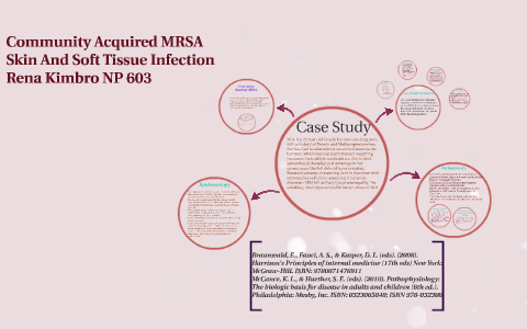 Case Study by on Prezi