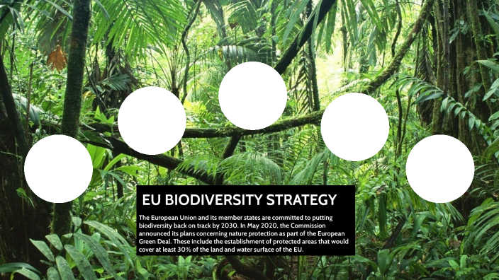 EU BIODIVERSITY STRATEGY by Nilsu Topuzoğlu on Prezi