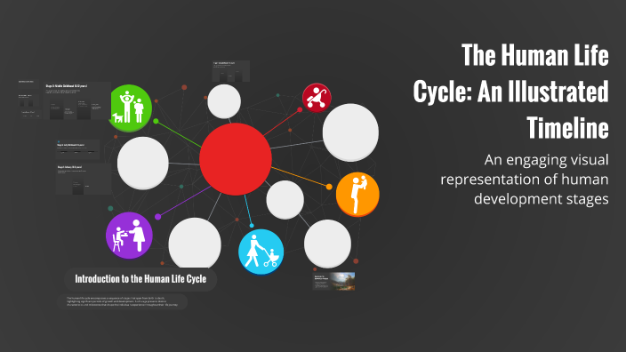 The Human Life Cycle: An Illustrated Timeline by Josh Levine on Prezi