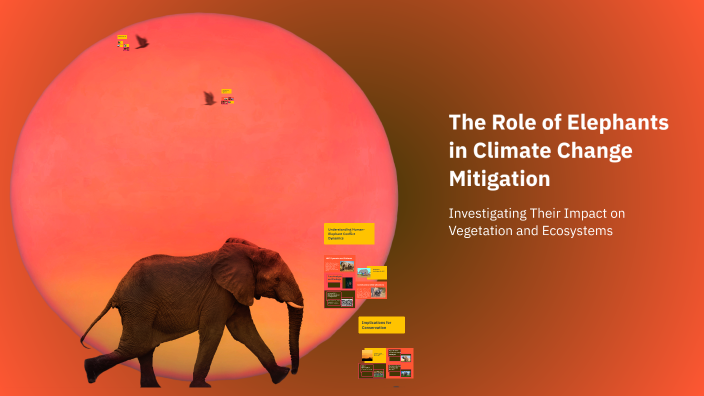 The Role of Elephants in Climate Change Mitigation by Samuel Awini on Prezi