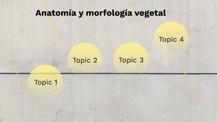 Anatomía y Morfología vegetal by Reyes Orlando on Prezi