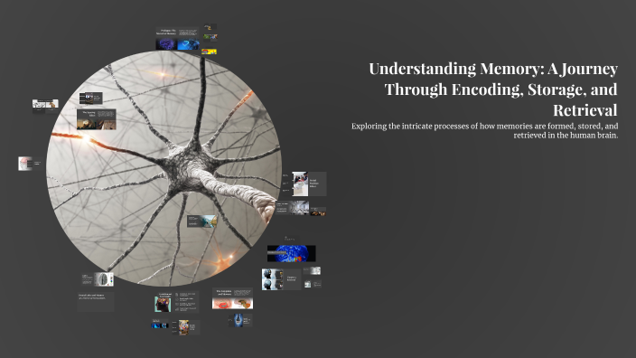 Understanding Memory: A Journey Through Encoding, Storage, and ...