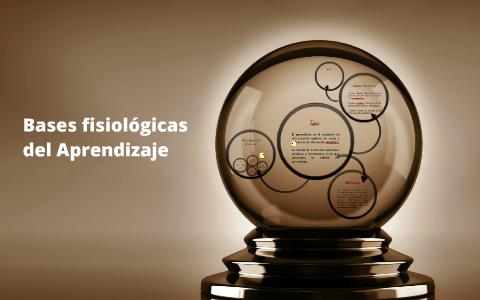 Bases fisiológicas del Aprendizaje by Julio Saldaña on Prezi