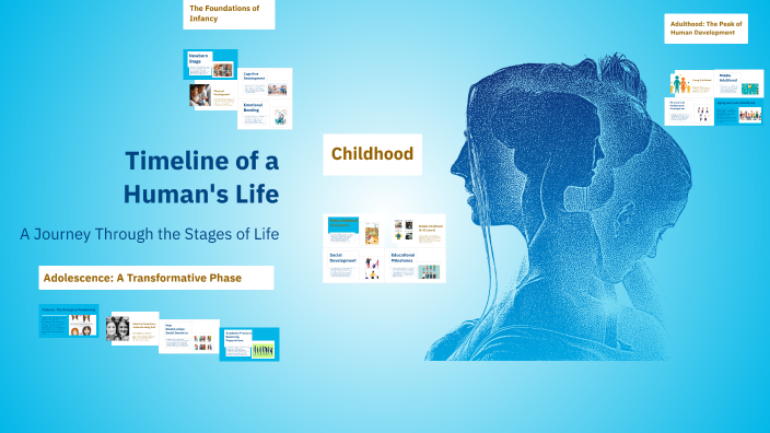 Timeline of a Human's Life by Gabriella Cork on Prezi