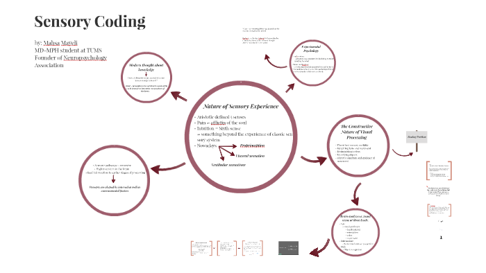Sensory Coding by Mahsa Mayeli on Prezi