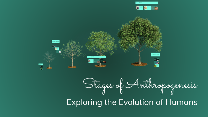 Stages of Anthropogenesis by Patryk Bartocha on Prezi