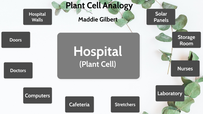 Hospital cell analogy by Maddie Gilbert on Prezi