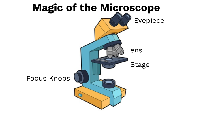 Magic of the microscope by meaghan delgado on Prezi