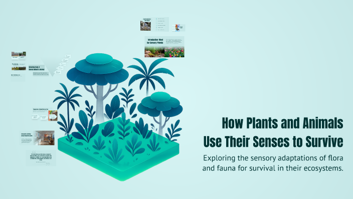 How Plants and Animals Use Their Senses to Survive by Jacklyn Sadoway ...