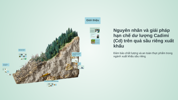 Nguyên nhân và giải pháp hạn chế dư lượng Cadimi (Cd) trên quả sầu ...