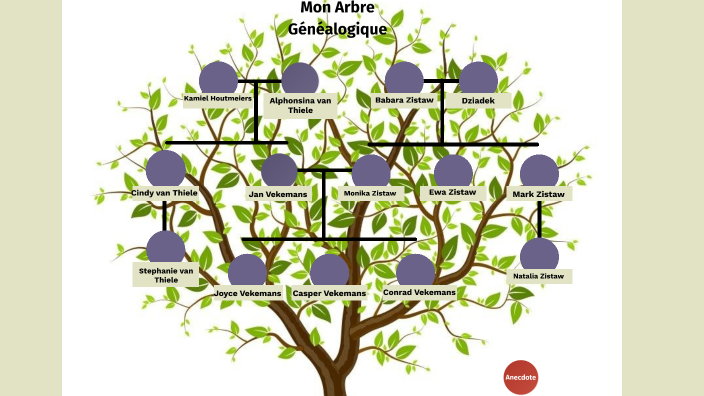 Stamboom Frans by Casper Vekemans on Prezi