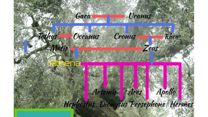 Athena's Family Tree by Anika Kulkarni on Prezi