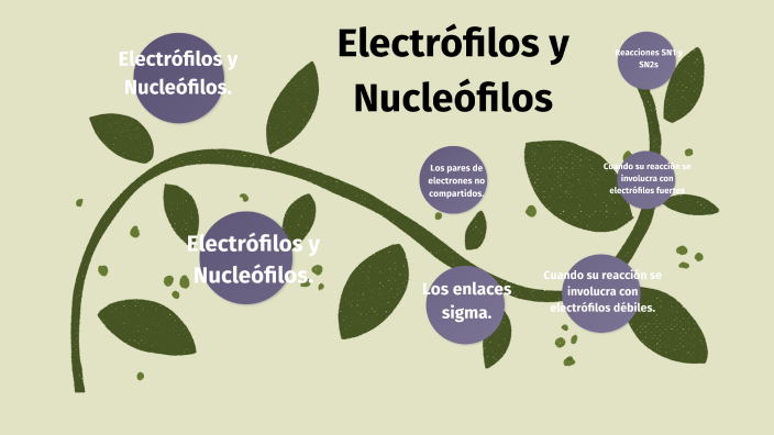 Electrófilos y Nucleófilos by Davilmar Sotelo on Prezi