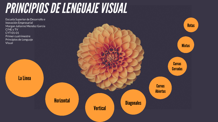 Principios de lenguaje visual by Julianne Mendez on Prezi