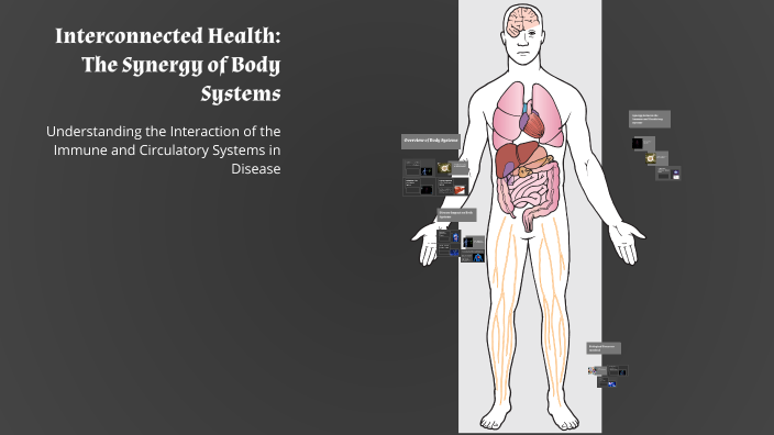Interconnected Health: The Synergy of Body Systems by julissa ramos on ...