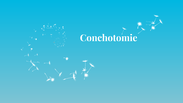 Conchotomie by marloes noot on Prezi