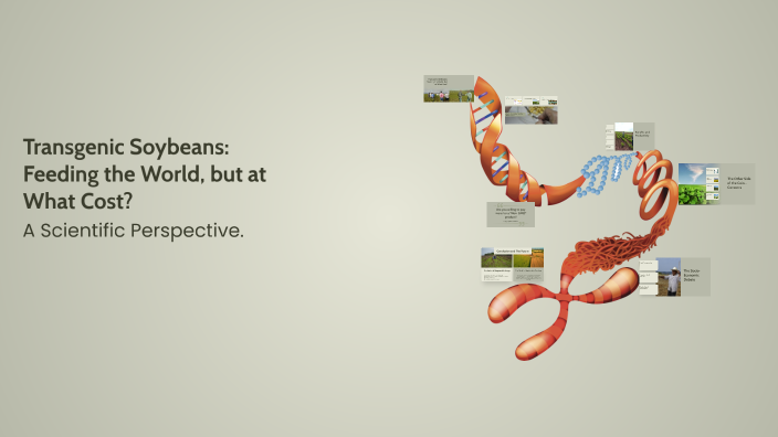Transgenic Soybeans: Feeding the World, but at What Cost? by Guido ...