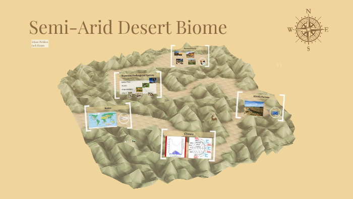 Semi- arid Desert Biome by Jack Kimm