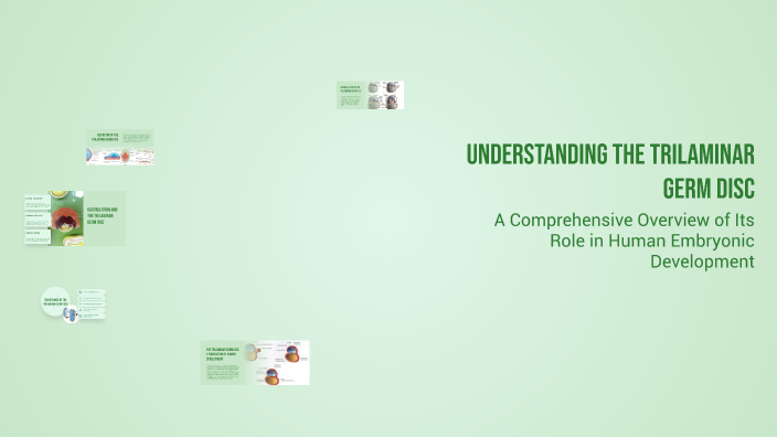 Understanding the Trilaminar Germ Disc by Sahabia Fatima on Prezi