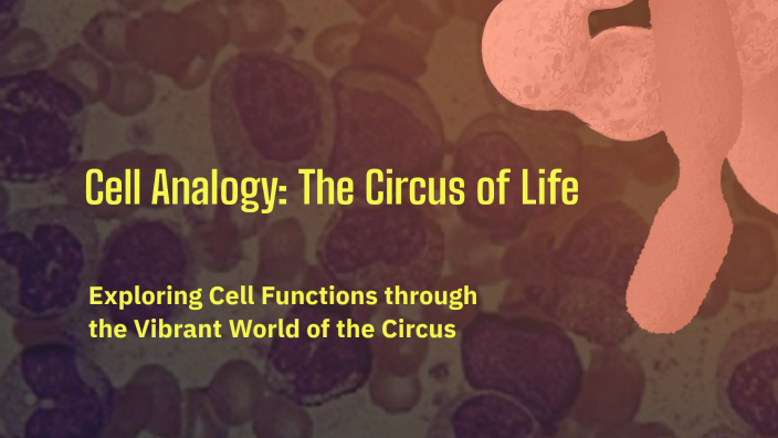 Cell Analogy: The Circus of Life by Z C on Prezi