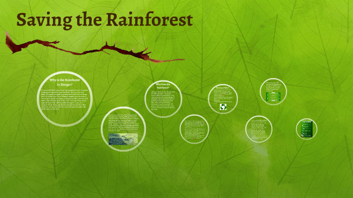 Saving the Rainforest by Paige Kamlowsky on Prezi