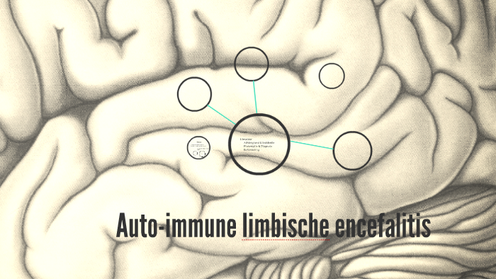 Auto-immune limbische encefalitis by joris Renckens