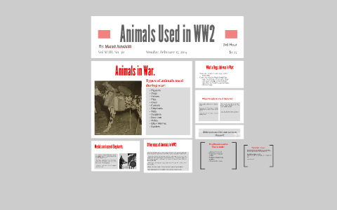 Animals Used in WW2 by Mariah Ninefelt on Prezi