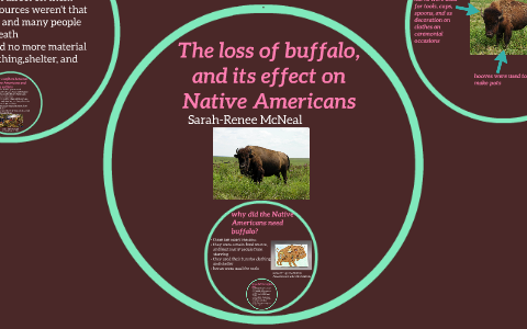 The loss of buffalo, and its effect on Native Americans by sarah McNeal ...