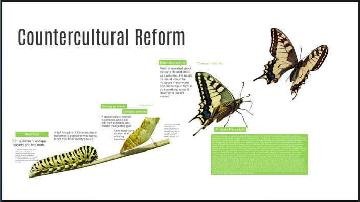 Reform Project by Dulce Bucio on Prezi
