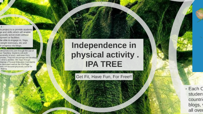 IPA TREE by Ciara Hanlon