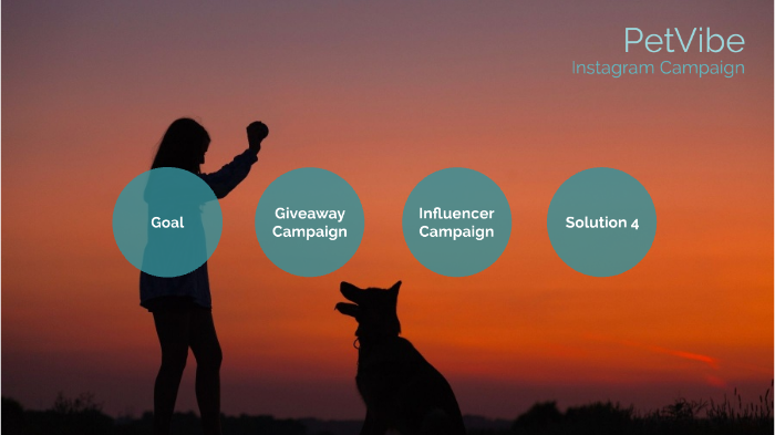 PetVibe Social Media by Alison Capstick on Prezi