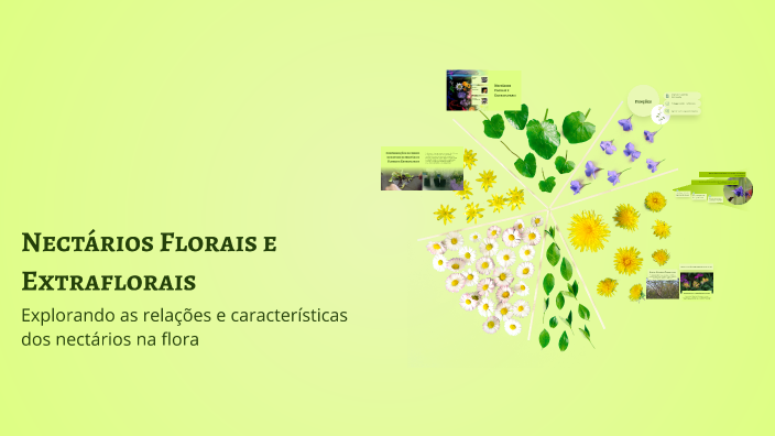 Nectários Florais e Extraflorais by Giúlia Teixeira Lopes on Prezi
