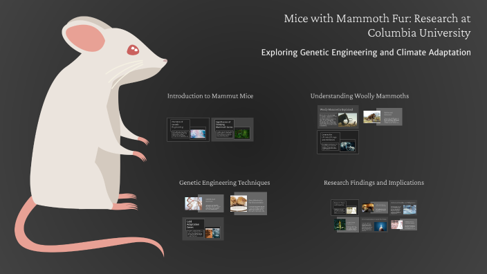 Mammut mice by Justin Keppler on Prezi