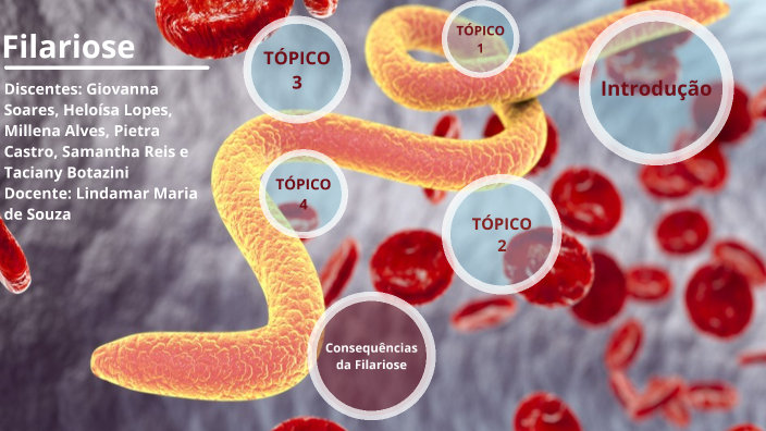 FILARIOSE PARASITOLOGIA by Giovanna Soares on Prezi