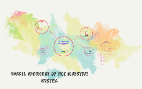 Travel Brochure of the Digestive System by evan amell on Prezi