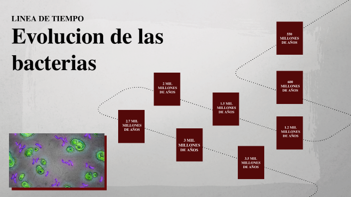 LINEA DE TIEMPO Evolucion de las bacterias by Jhoan Camargo on Prezi