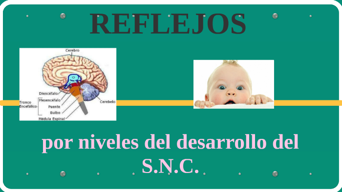 REFLEJOS by ilse martinez on Prezi