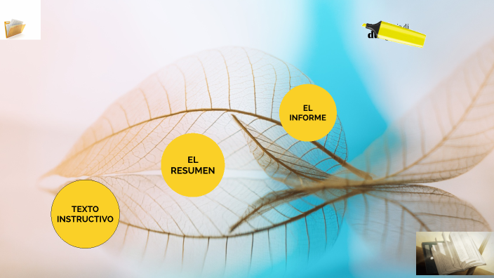 Representación hologramática : texto instructivo, el resumen y el ...