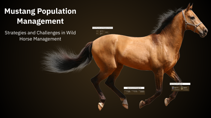 Mustang Population Management by Kabree Ziegler on Prezi