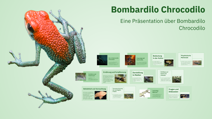Bombardilo Chrocodilo by elias Lederer on Prezi
