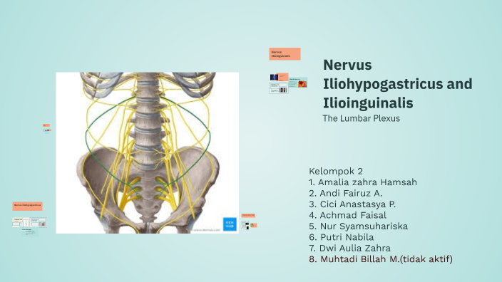 Nervus Iliohypogastricus and Ilioinguinalis by Nur syamsuhariska on Prezi
