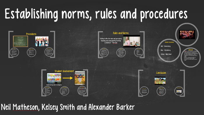Establishing norms, rules and procedures by Neil Matheson